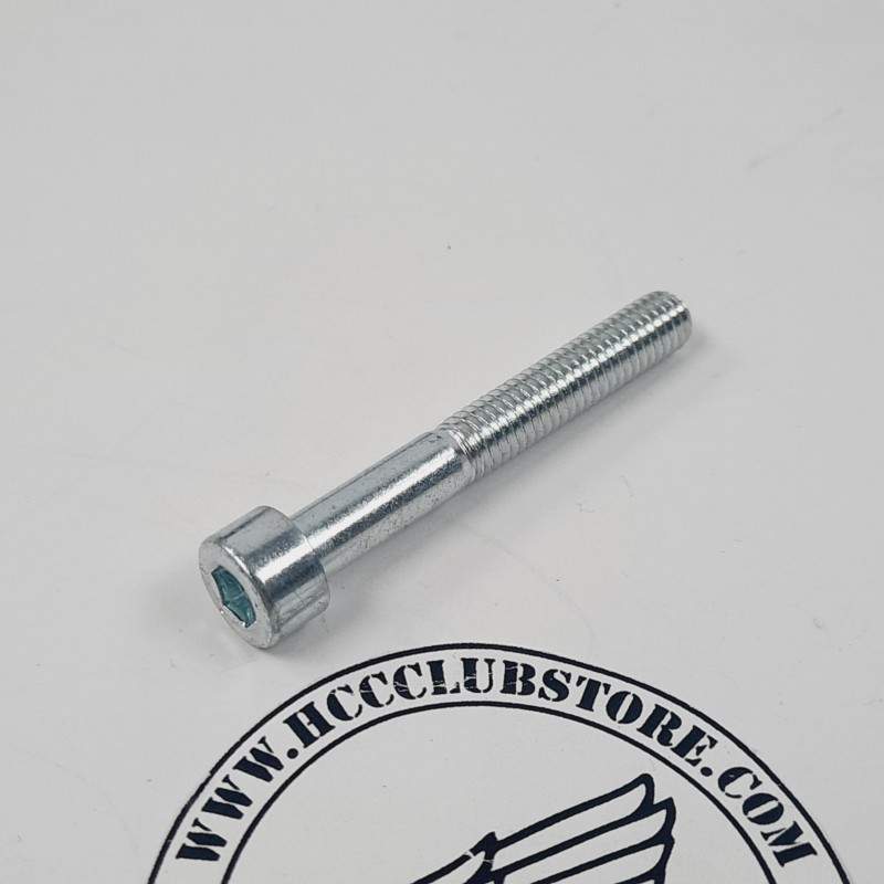 Inbusbout - M6 x 45 mm